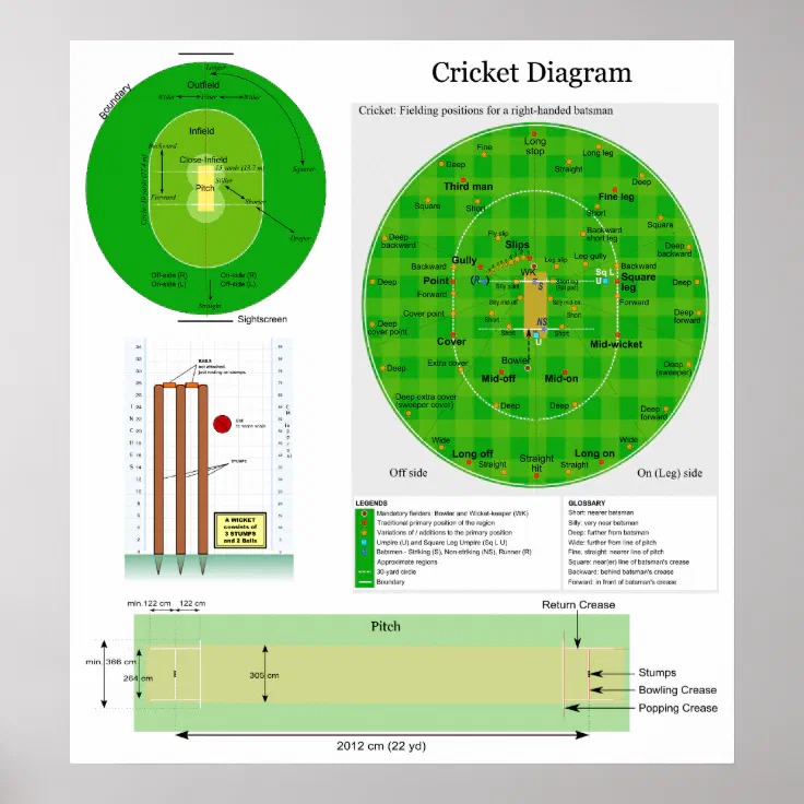Cricket Position Field Pitch and Wicket Diagram Poster | Zazzle