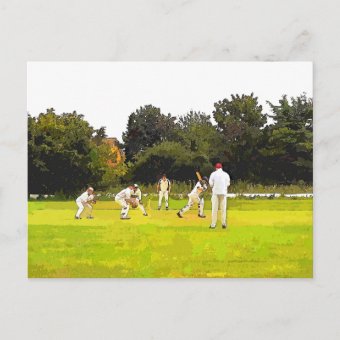 CRICKET POSTCARD | Zazzle