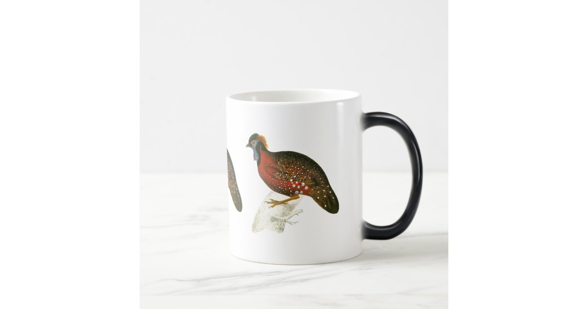 Crimson Horned Pheasant Color Morph Mug | Zazzle