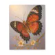 Crimson Lacewing Butterfly Gold Ruby Art Print | Zazzle