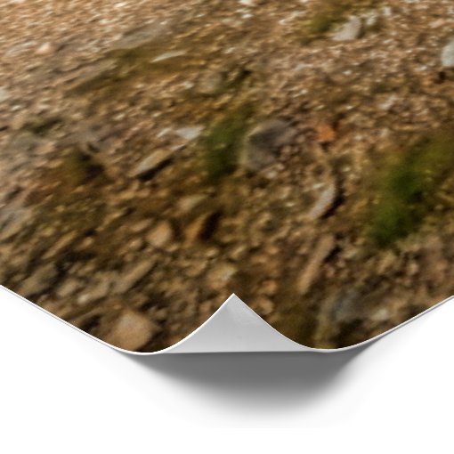 Croagh Patrick church Poster | Zazzle