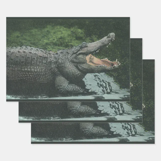 Crocodile Reptiles, Vintage Marine Animal Life Wrapping Paper Sheets ...