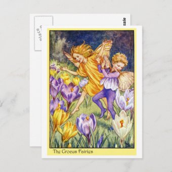 Crocus Fairy Postcard | Zazzle