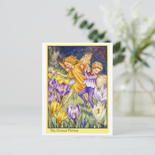 Crocus Fairy Postcard | Zazzle