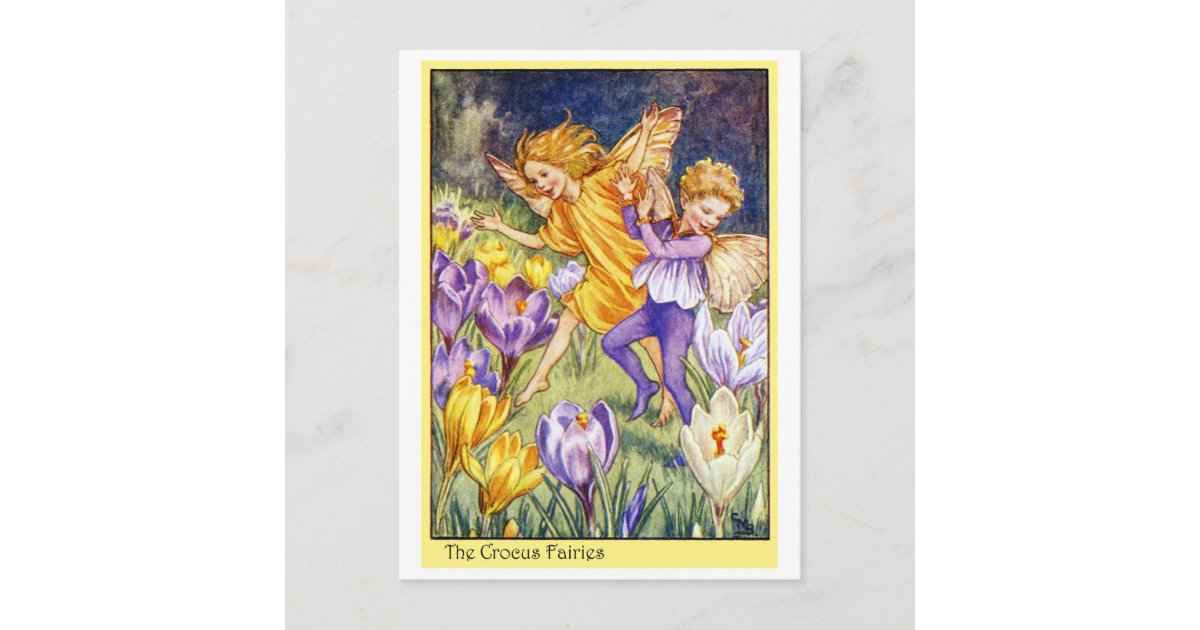 Crocus Fairy Postcard | Zazzle