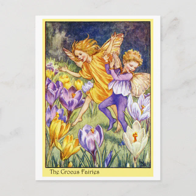 Crocus Fairy Postcard | Zazzle