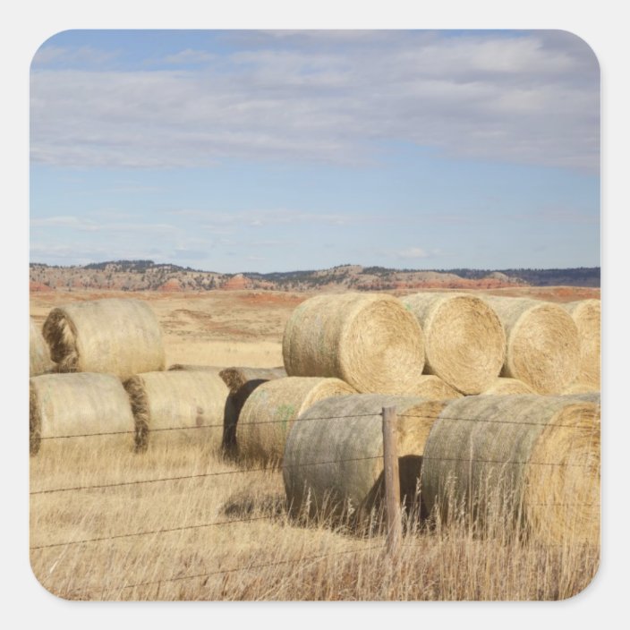 Crook County, Hay Bales Square Sticker | Zazzle.com