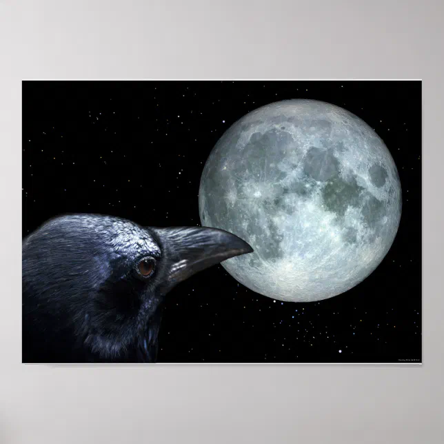 Crow and Moon Raven Night Gothic Fantasy Poster | Zazzle