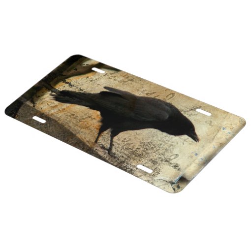 Crow Art License Plate | Zazzle