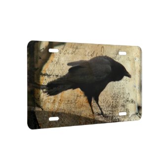 Crow Art License Plate | Zazzle