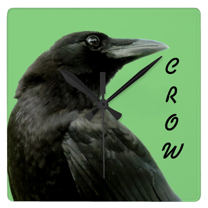Crow Clock | Zazzle.com