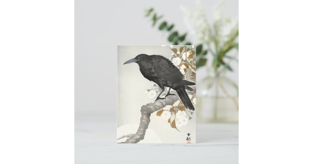 Crow Raven Koson Japanese Bird | Zazzle