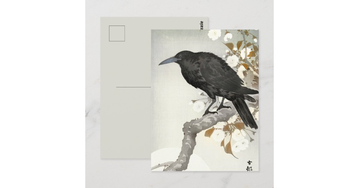 Crow Raven Koson Japanese Bird Postcard | Zazzle