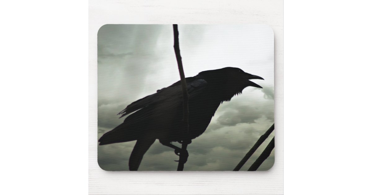 Crow/Raven Photo Mouse Pad | Zazzle