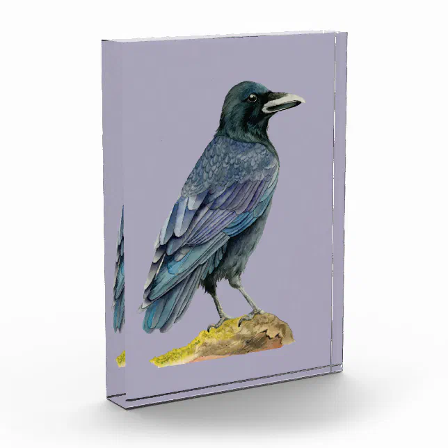Crow Watercolor Painting Photo Block | Zazzle