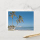 Cruise Ships in Costa Maya Postcard | Zazzle