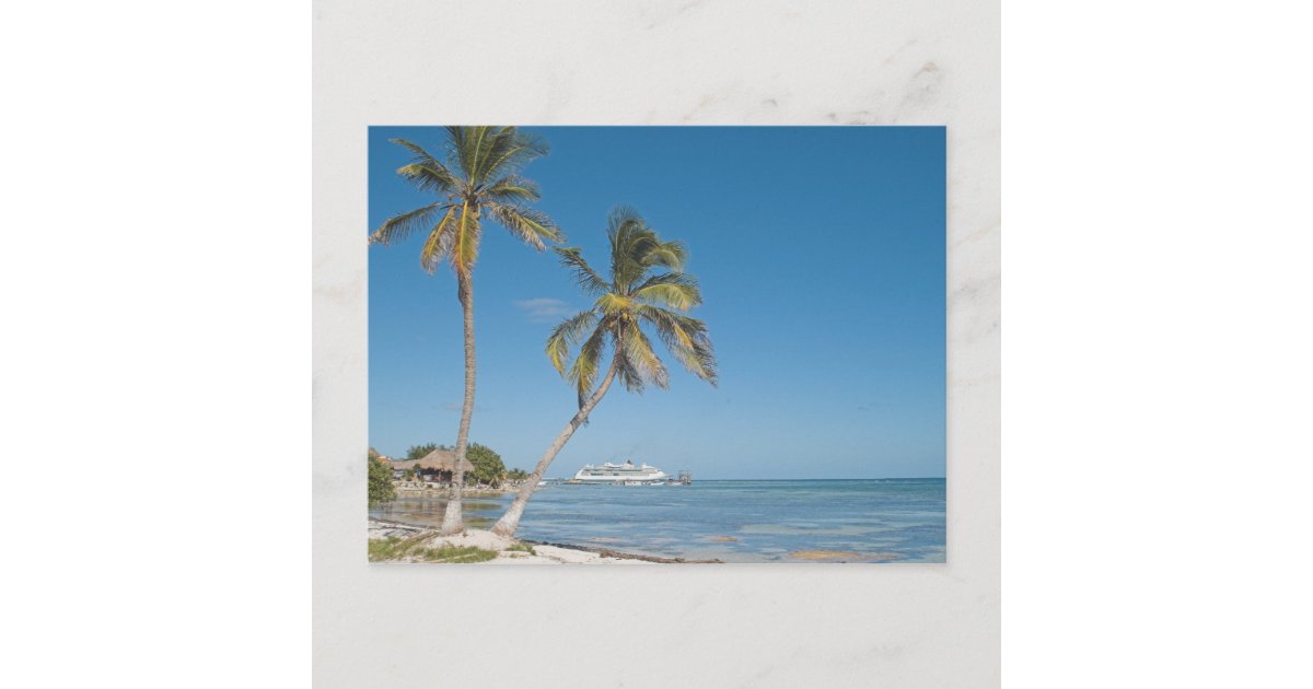 Cruise Ships in Costa Maya Postcard | Zazzle