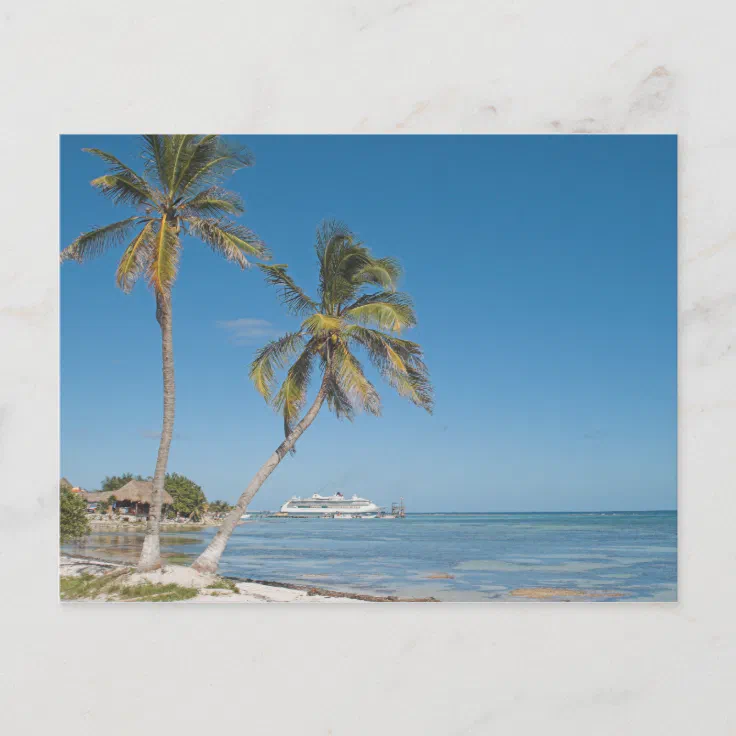 Cruise Ships in Costa Maya Postcard | Zazzle