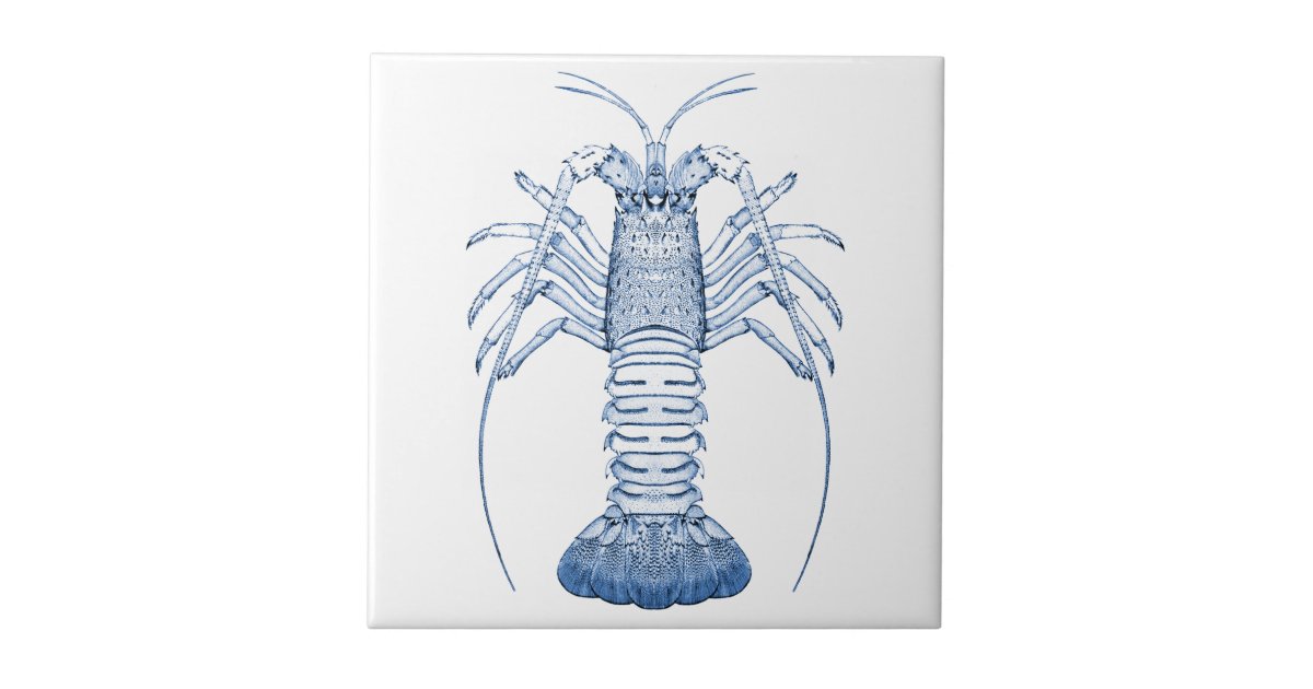 Crustaceans Ceramics ~ Rock Lobster Ceramic Tile | Zazzle