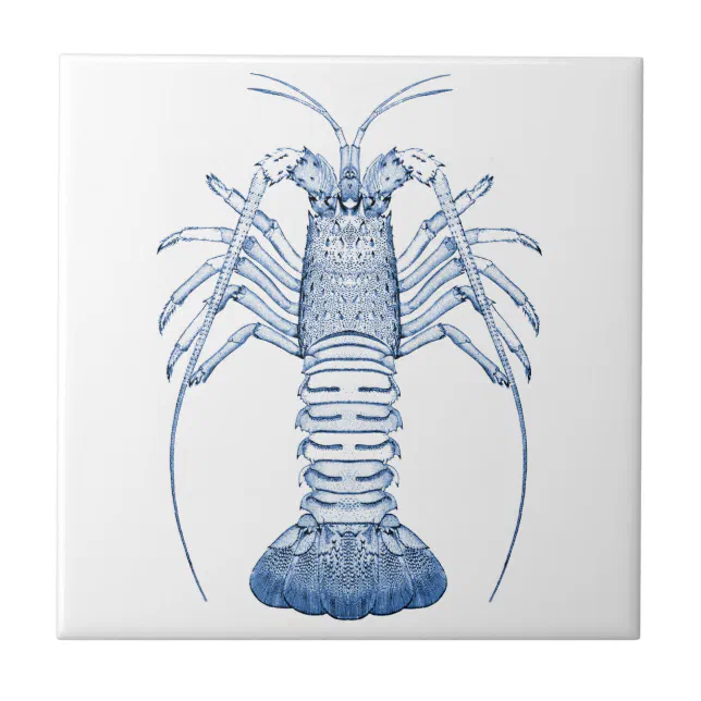 Crustaceans Ceramics ~ Rock Lobster Ceramic Tile | Zazzle