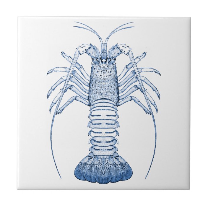 Crustaceans Ceramics ~ Rock Lobster Ceramic Tile | Zazzle.com