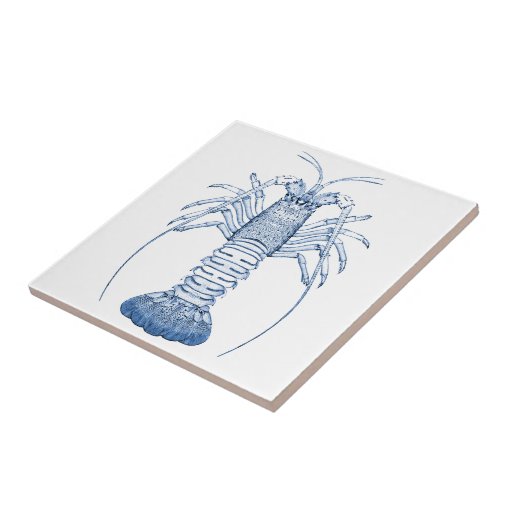 Crustaceans Ceramics ~ Rock Lobster Ceramic Tile | Zazzle