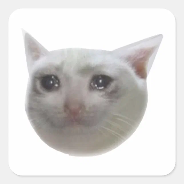 Crying Meme Cat Square Sticker | Zazzle