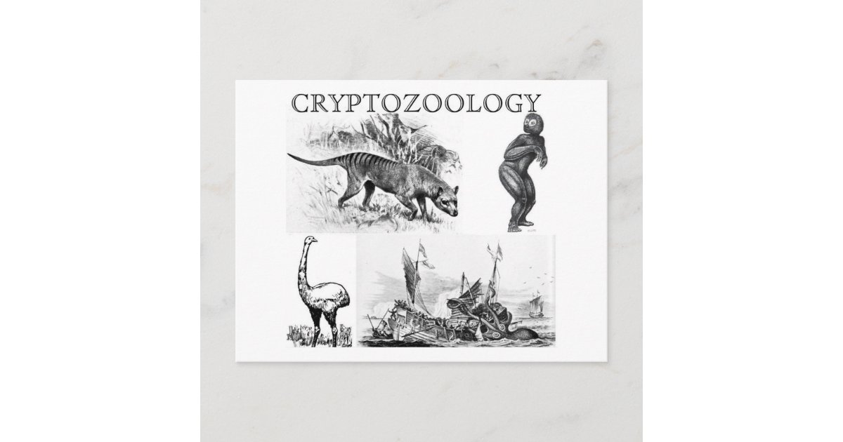 cryptozoology postcard | Zazzle