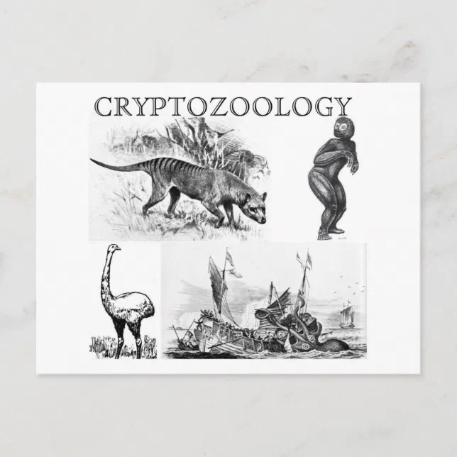cryptozoology postcard | Zazzle