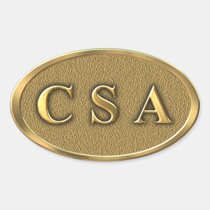 CSA Civil War Sticker | Zazzle.com