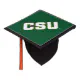 CSU Letter Mark Graduation Cap Topper | Zazzle