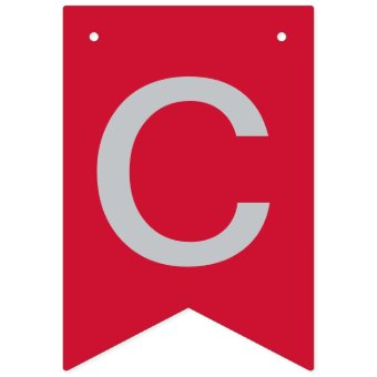 CSUN Matadors Graduate Bunting Flags | Zazzle