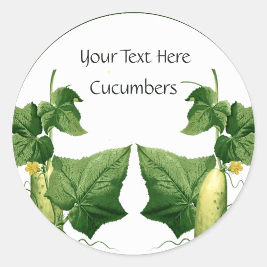 Cucumber Art Sticker 3 | Zazzle.com