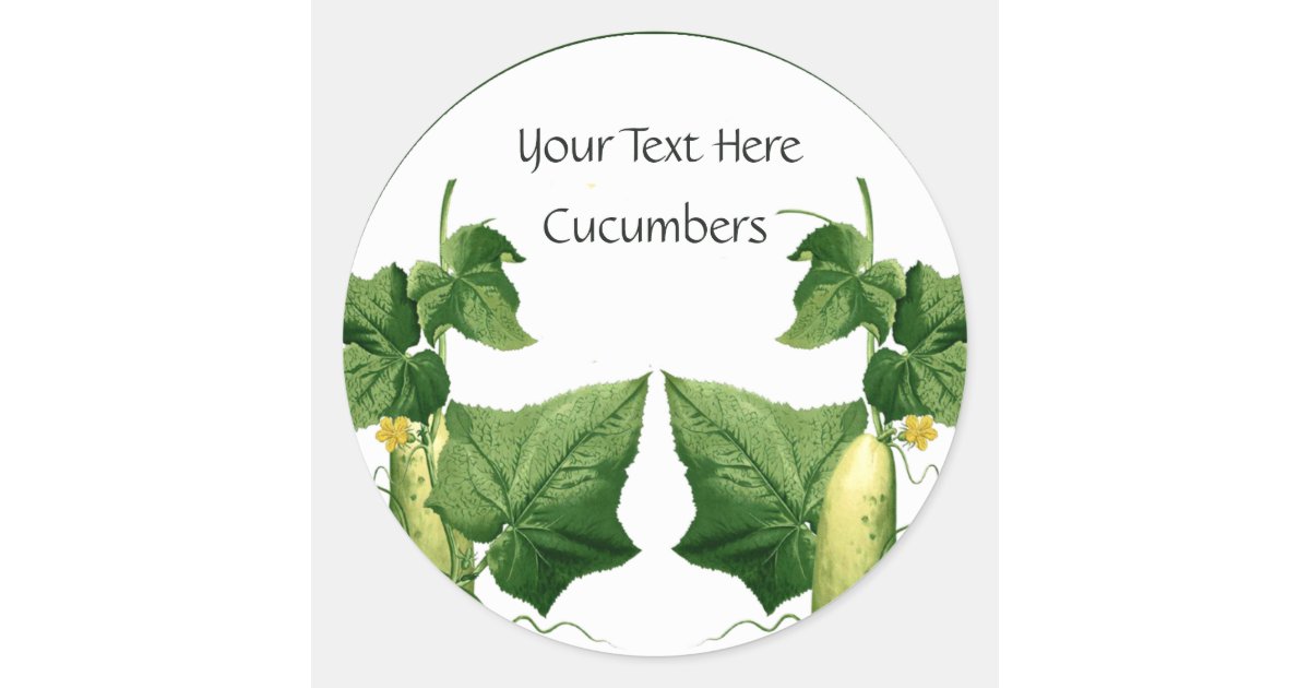 Cucumber Art Sticker 3 | Zazzle