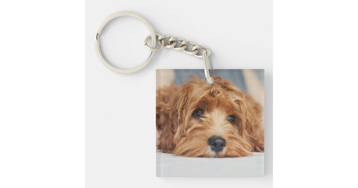 Cuddly Dog Acrylic Keychain | Zazzle