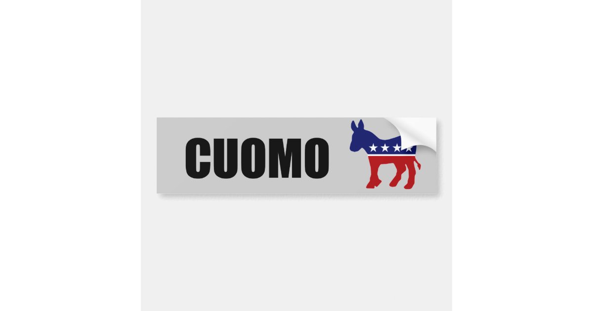 CUOMO 2010 BUMPER STICKER | Zazzle