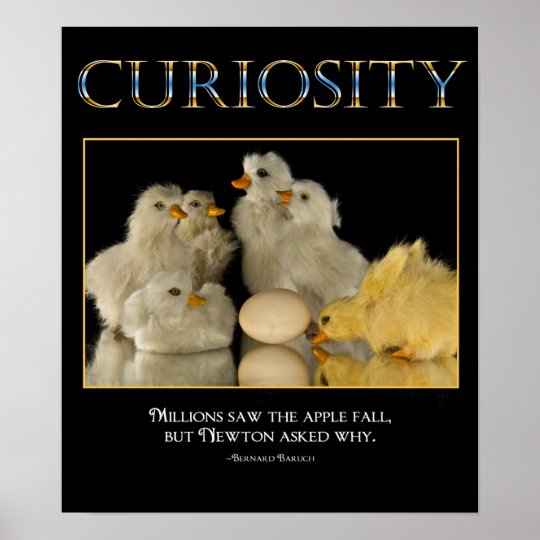 CURIOSITY Poster | Zazzle.com