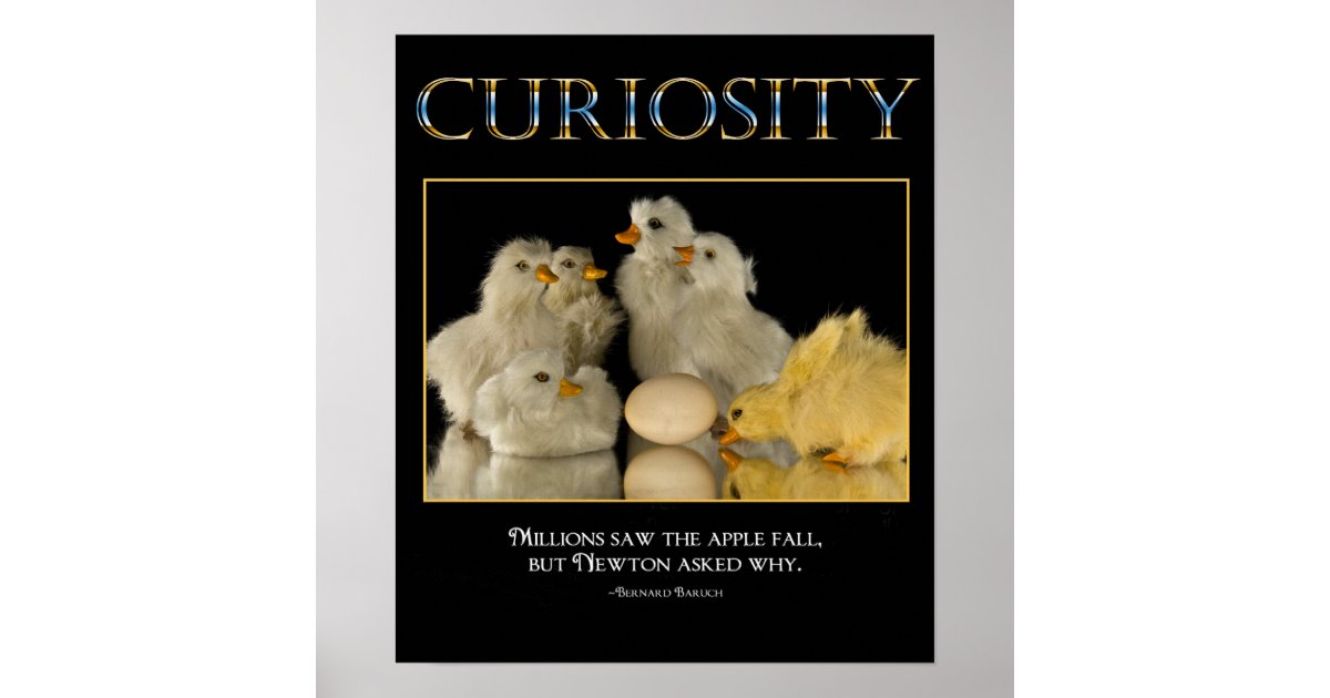 CURIOSITY Poster | Zazzle