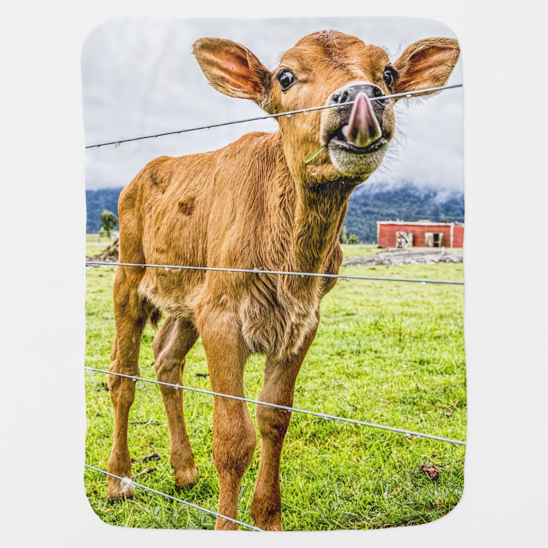 Curious Calf Baby Blanket | Zazzle