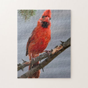 Cardinal Jigsaw Puzzles | Zazzle