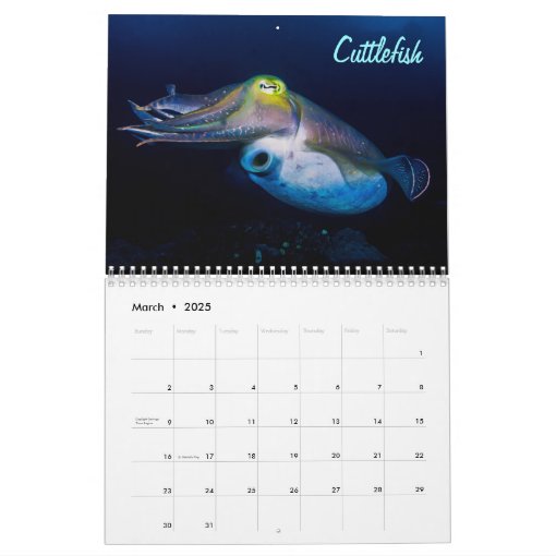 Curious Creatures Great Barrier Reef Coral Sea Calendar | Zazzle