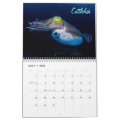 Curious Creatures Great Barrier Reef Coral Sea Calendar | Zazzle