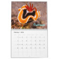 Curious Creatures Great Barrier Reef Coral Sea Calendar | Zazzle