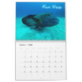 Curious Creatures Great Barrier Reef Coral Sea Calendar | Zazzle