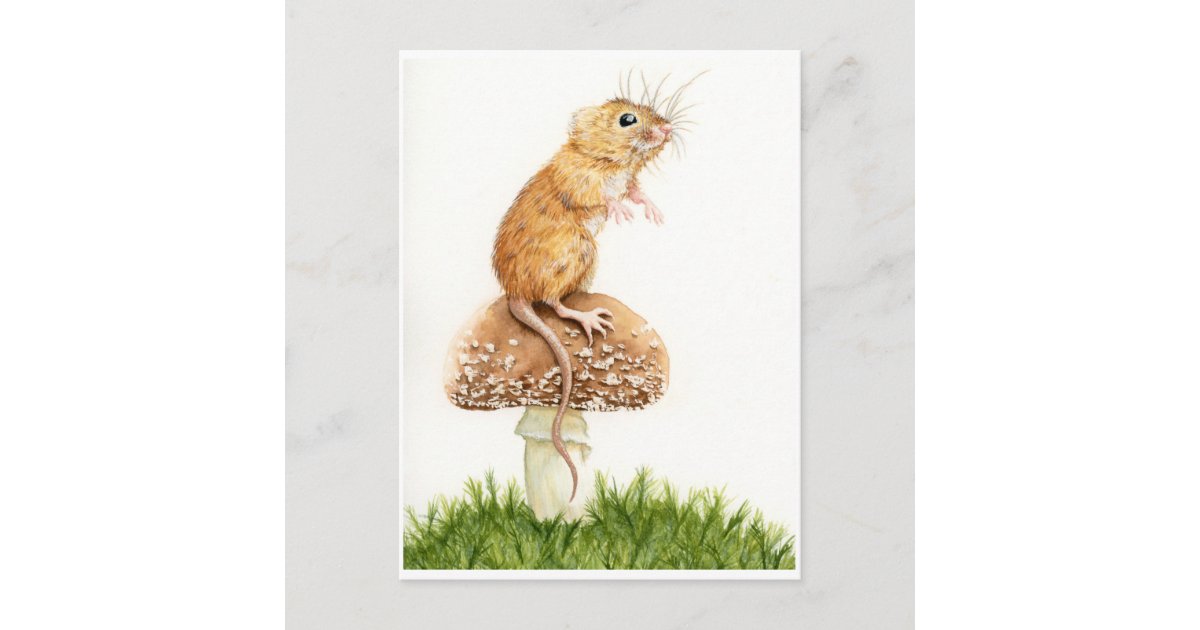 Curious little mouse on mushroom postcard | Zazzle