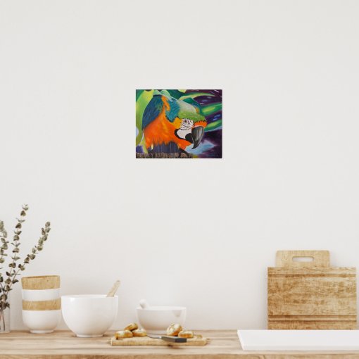 Curious Macaw Poster | Zazzle