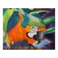 Curious Macaw Poster | Zazzle