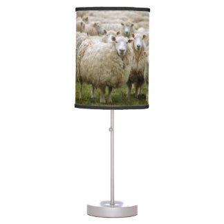 Sheeps Table & Pendant Lamps | Zazzle