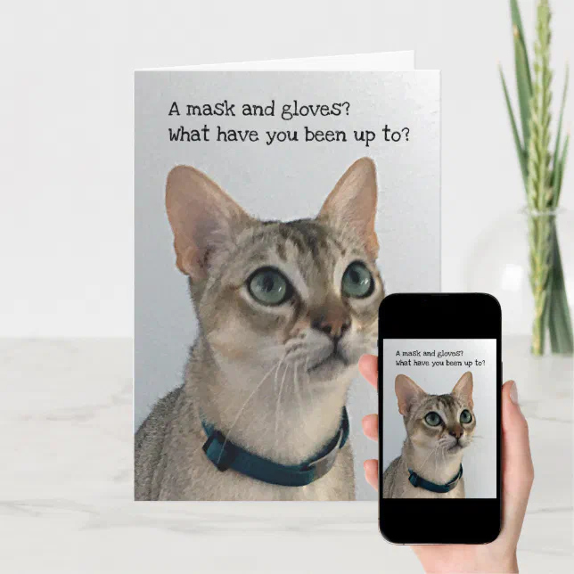 Curious Social Distancing Cat Card | Zazzle
