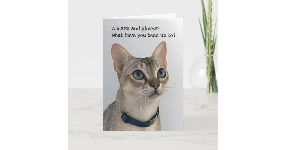 Curious Social Distancing Cat Card | Zazzle